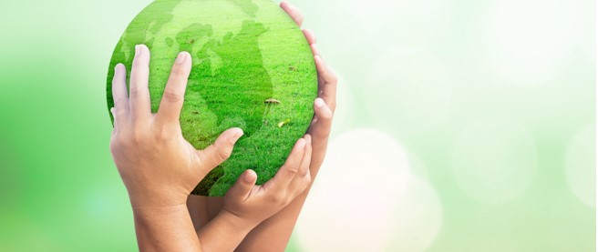 Let's Be Green Together! | Skyline Living